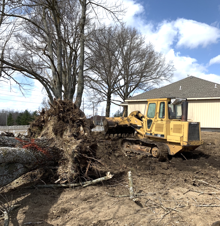 Brush & Tree Clearing - Reiss Earthworks